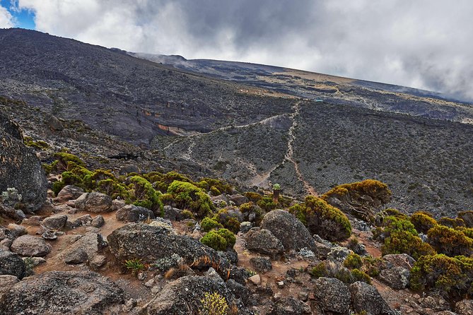 7 Days Kilimanjaro Climbing Via Rongai Route 2024 - TMD Travel